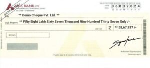 ChequePrint.in – MoneyFlex – All in One Cheque Printing Software